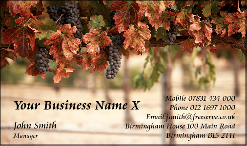 Business Card Printing, Designs and Templates | Click Business Cards